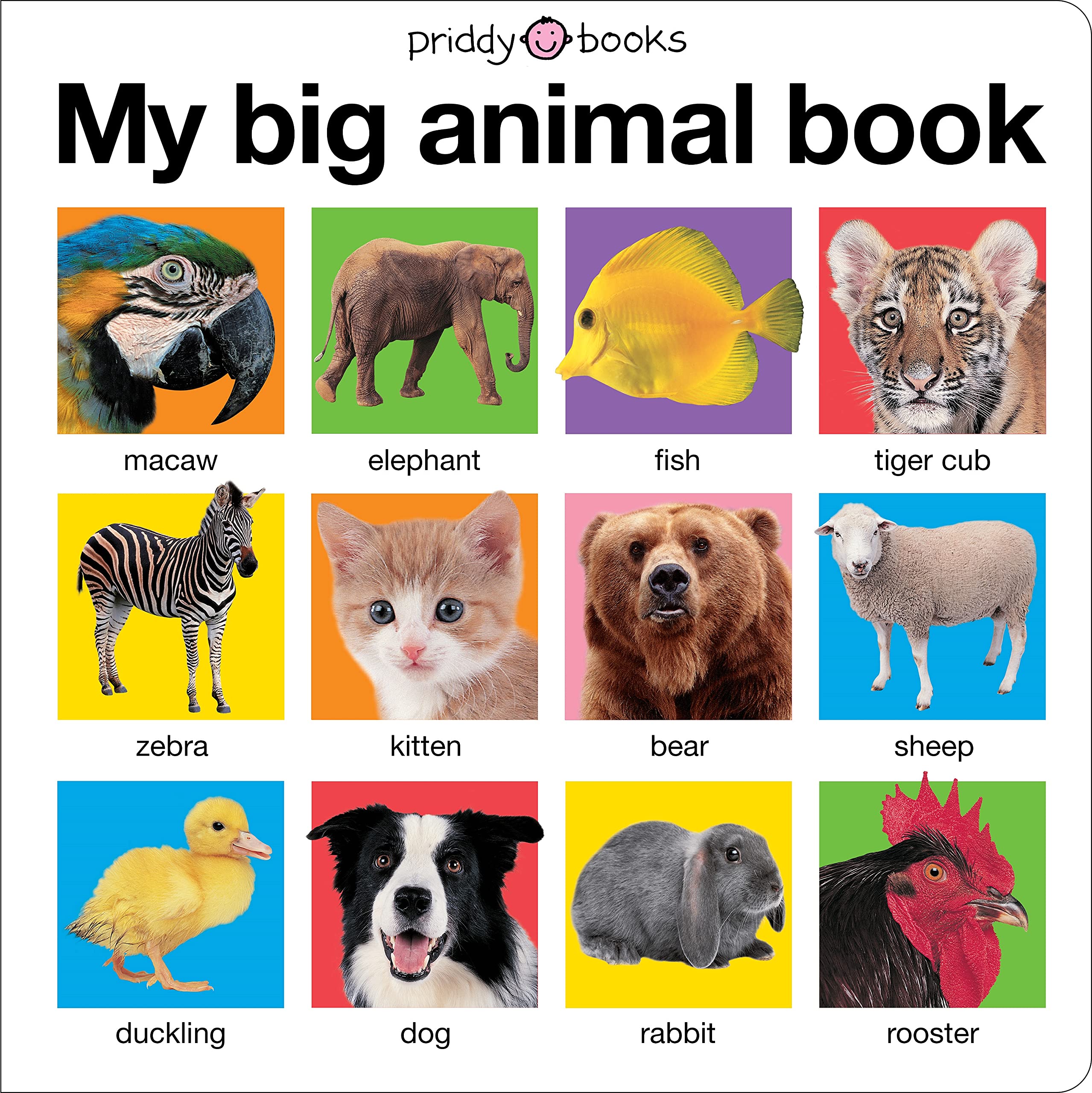 20 Books About Animals - Reading Foundation